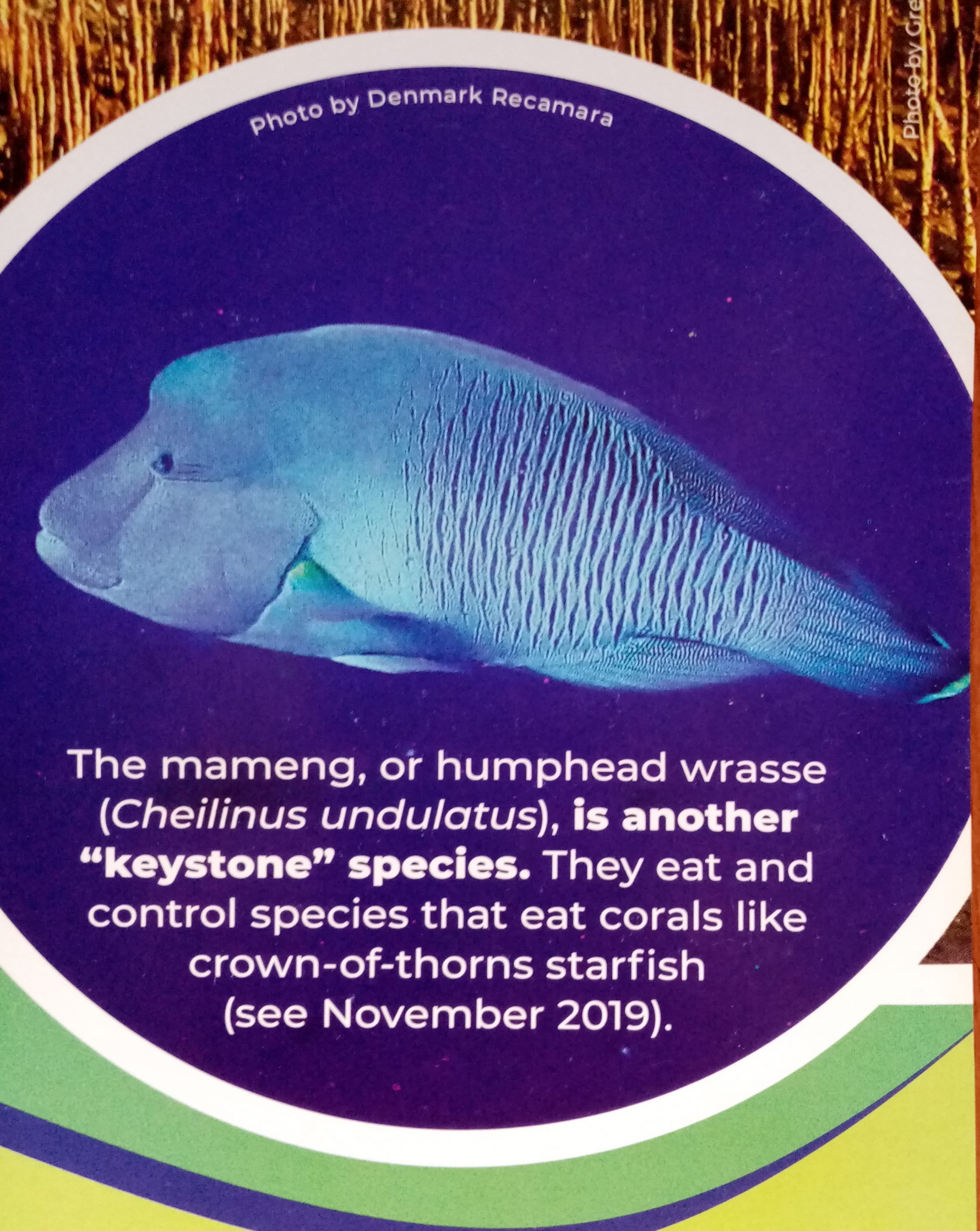 SMARTSeas PH Project Philippine Clearing House Mechanism