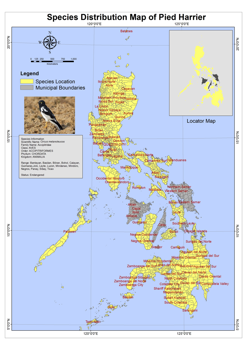 Distribution Map of some Endangered Bird Species Philippine Clearing ...